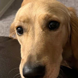 Groovy Retro Alphabet Set With Clipart PNG Files 90s 60s Retro Doodle ...