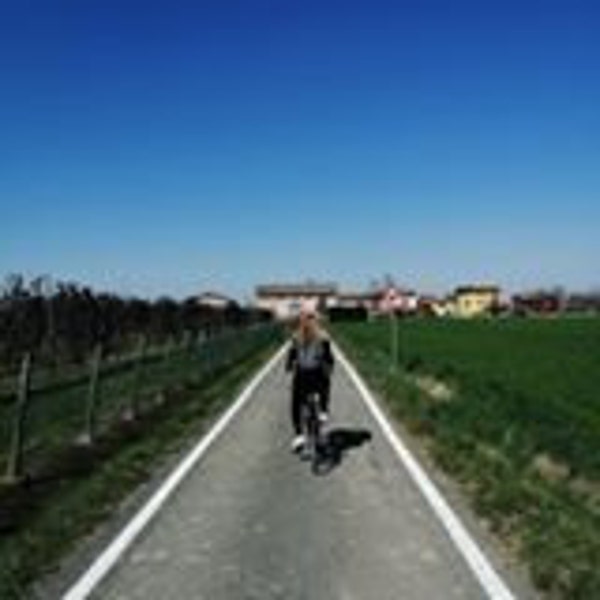 Multi Blend Hand Knitted Chunky Looped Wool Rug, Premium Wool ...