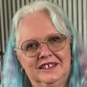 Glider Feathertail Print by Debra Meier Art,red Bottlebrush Art ...