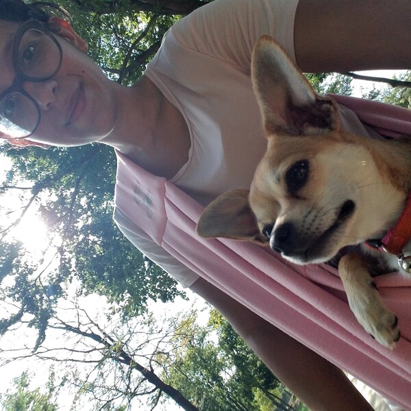 Tropical Classroom Alphabet Posters Alphabet Display Animal Alphabet ...