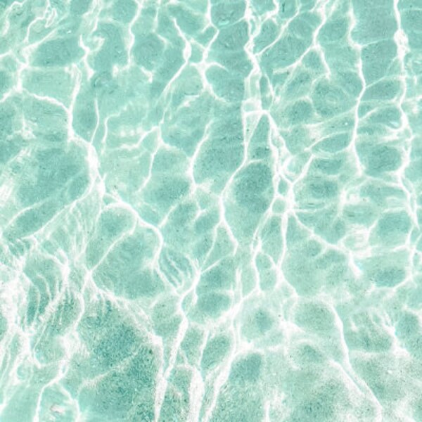 Wild Pears Font Handwritten Script Font, Logo Font, Farmhouse Font ...