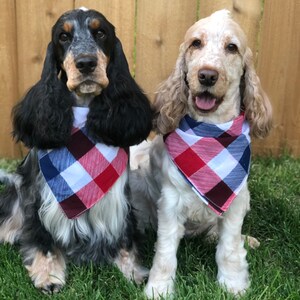 If the Trailer is Rocking It's Only Because I Tripped Over the Dog ...