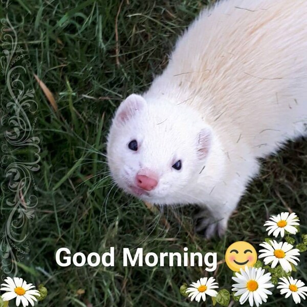 30 Day Challenge, 30 Day Tracker, Goal Setting, Progress Tracker, Habit ...