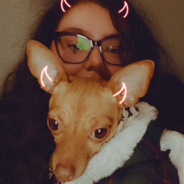 Bodybuilder Bodybuilding Strong Man Weightlifter Weightlifting Gym ...