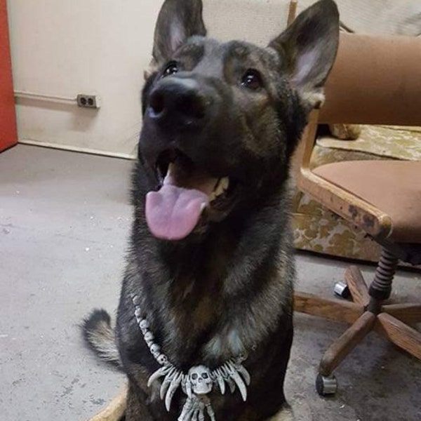 Angel 4/4 Token STAINED GLASS SERIES 3 Magic the Gathering Givememana's ...