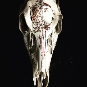 Conjoined Twins Fetal Skull Display - Etsy