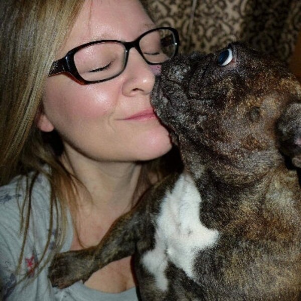 You Pick / Mini Signs / Farmhouse Sign / Rustic Sign / Milk and Dairy ...