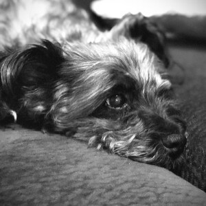 Weekend Rules Printable Screen Time Rules PDF Digital Download - Etsy