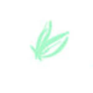 Ultimate Onlyfans Organisation Bundle Planners for Adult Creators Using Fansly, Loyalfans ...