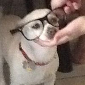 Silent Princess Art Poster the Legend of Zelda Breath of the Wild - Etsy