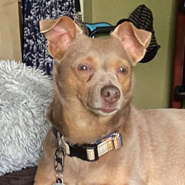 Love at Frost Sight Magnetic Nail Polish Topper by Kbshimmer - Etsy