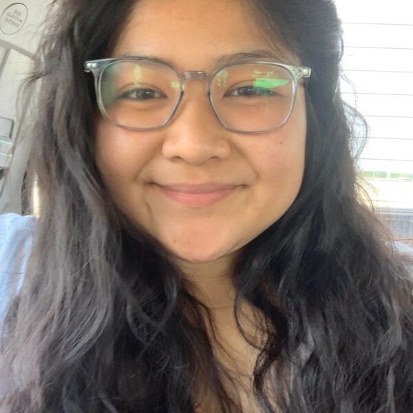 Crescent Celestials Animated Transition/stream Overlay/purple/orange ...