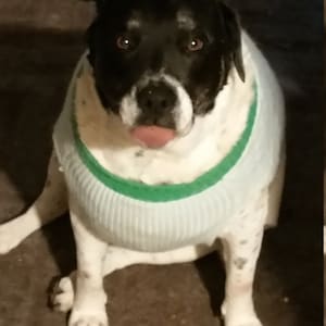 Cutout Number Poster, Skip Counting Poster, Classroom Number Poster ...