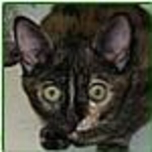 87 Rare Cryptography & Code Breaking Books on USB Ciphers Secret Codes Morse Enigma WW2 Turing ...