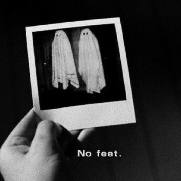 The Bolter Graphic Sweatshirt Lyrics, Vintage, Crewneck, Academia ...