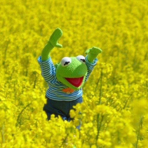 4 Static and 3 Kawaii Animated Stream Screen Kirby Them Twitch, Stream ...