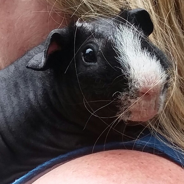 14K Gold Filled Flat Curb Chain Ring, Minimalist Stacking Rings ...