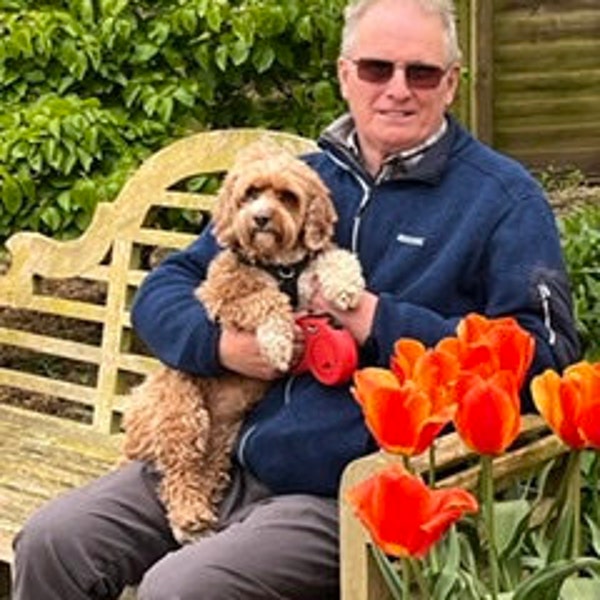 StephenAllenArtist - Etsy