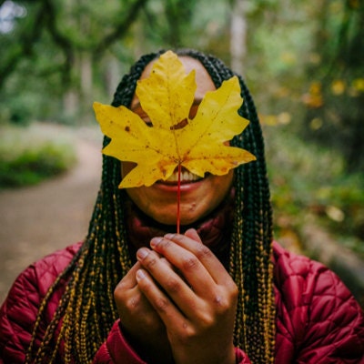 lexbeckss - Etsy