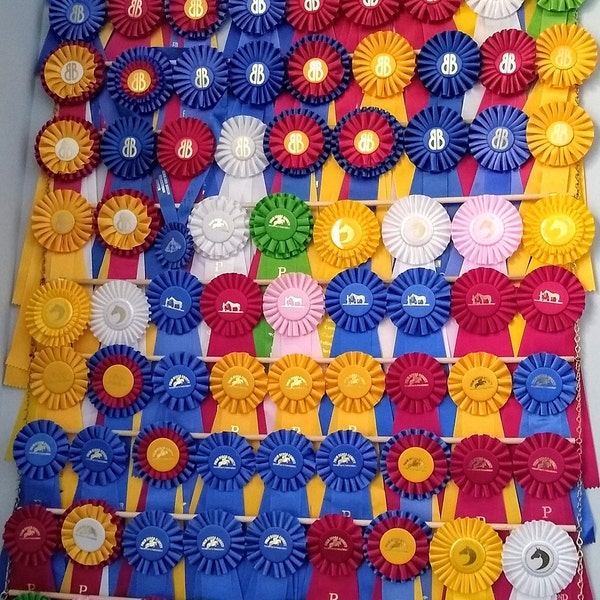Custom Equestrian Hanging Ribbon Rack 2 ROWS Holds up to 18 Ribbons - Etsy