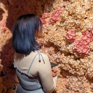 Toasty Twitch Package Animated Stream Overlay, Cute Toast Theme Overlay ...