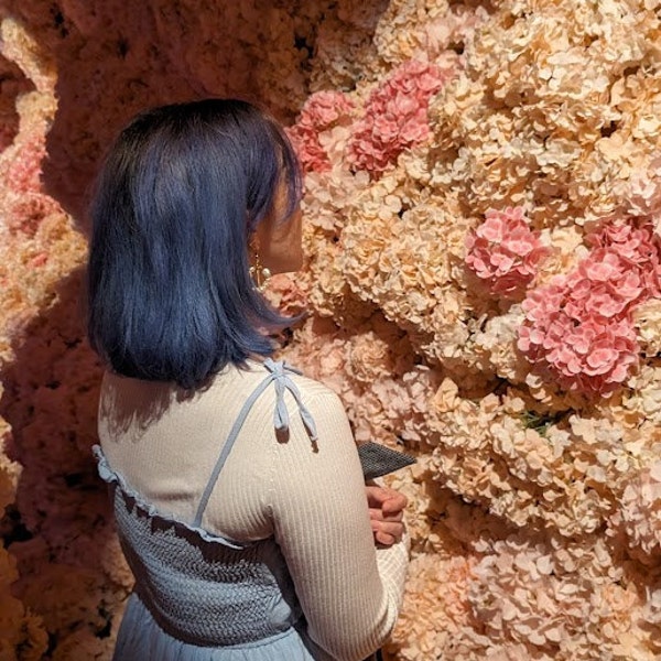 Toasty Twitch Package Animated Stream Overlay, Cute Toast Theme Overlay ...