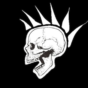 Huge Golden Writing Orb Weaver Spider Argiope Aurantia Gothic Yellow ...