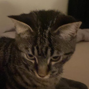 Runescape Birthday Card, OSRS Funny Digital Download Printable Gift ...