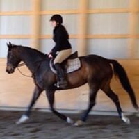 PreppyPonyBowCompany - Etsy Australia