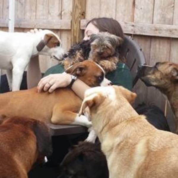 Compass Wind Rose Ring, Traveler North Star Unisex Wedding Bands ...