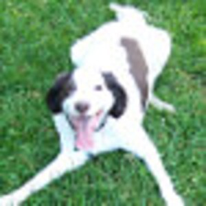 EDITABLE First Responders Appreciation Breakfast Flyer, First ...