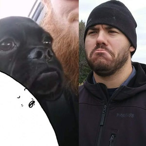 Twitch Emote 1x Side Eye Judging Dog Dog Meme Twitch Emotes / Streamer ...