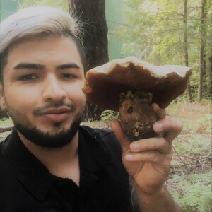 DesertAlchemist - Etsy