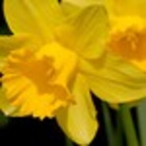 Insect Printable Kids Reward Chart Printable Bug Sticker Chart for Kids ...