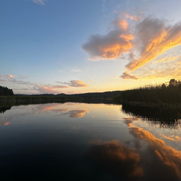 Eucalyptus & Floral Wood Wedding Table Numbers, Rustic Wedding Wooden ...