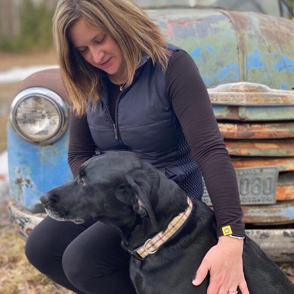 Starry Forest Svg Cut Files, Instant Download, Trees Svg, Pine Forest ...