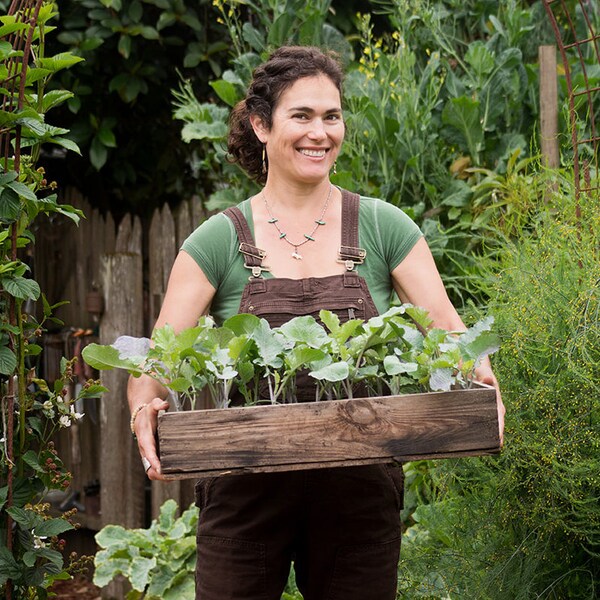 ProjectTreeCollard - Etsy