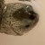 Selenite Shards, Selenite Sticks, Selenite Slab, Selenite Stone ...