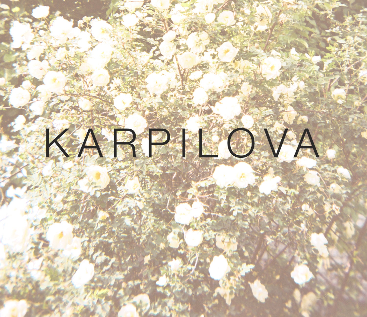 LENAKARPILOVA - Etsy