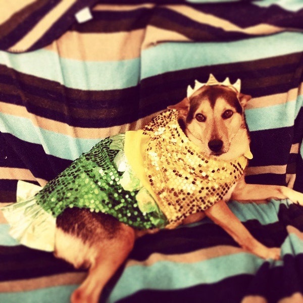 Milwaukee Packout Locking Wall Mount by Unbeaten Path Designs Compact ...