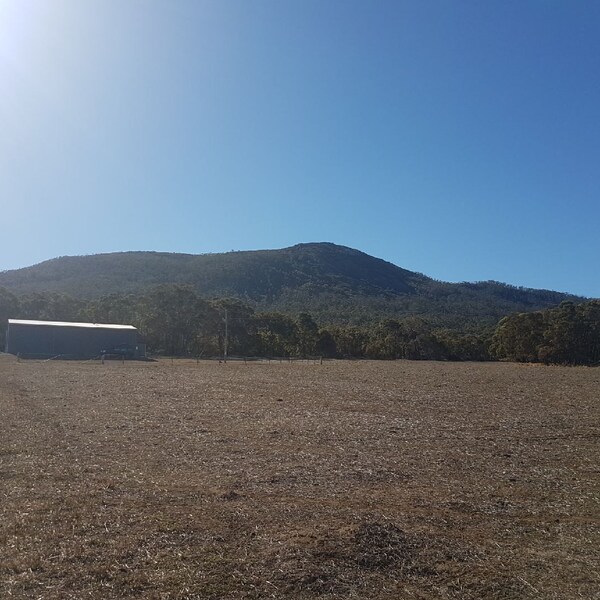 Rainbow Pinwheel With Fence & Ivy ORIGINAL Watercolor Art by Tracey ...