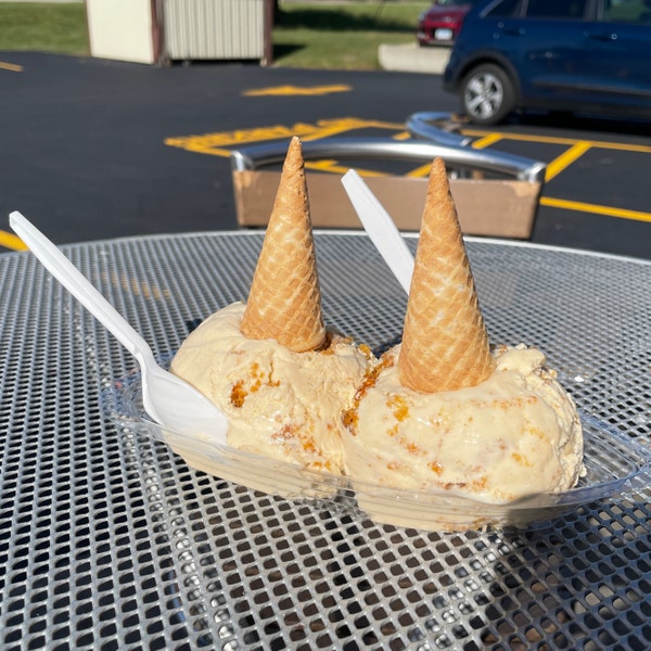 Sandhill Crane Wooden Mosaic Wall Art With a Birch Wood Backer - Etsy