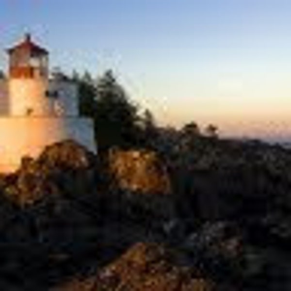 Pink Speckle Pattern Wallpaper / Modern Spotty Pattern Traditional or ...