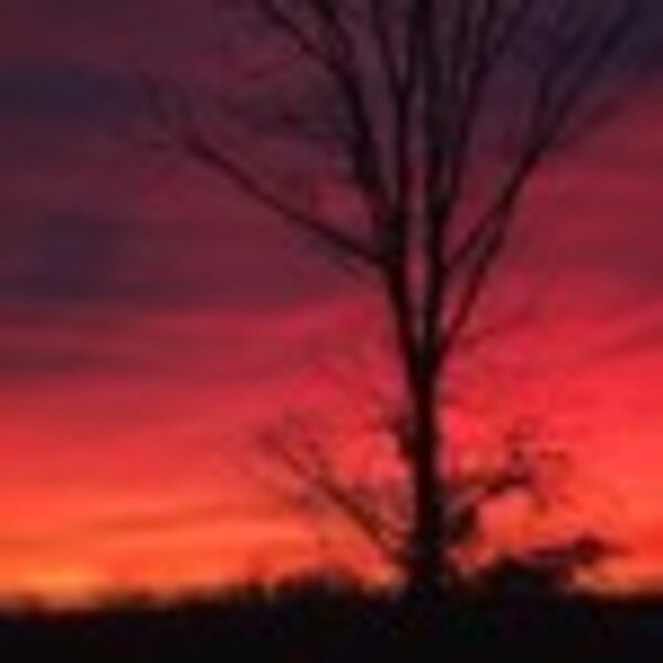 Vancomycin Nursing Notes/ Concept Map Medical Surgical Semester - Etsy