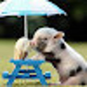 Laser Cut Mini Scooter Wooden Model 3mm SVG, DXF, CDR - Etsy