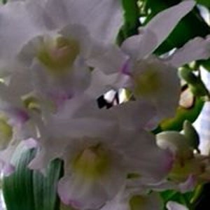 Weather Stamps, Forecast Stamps, Sun Stamps, COMMERCIAL USE, Rainbow ...