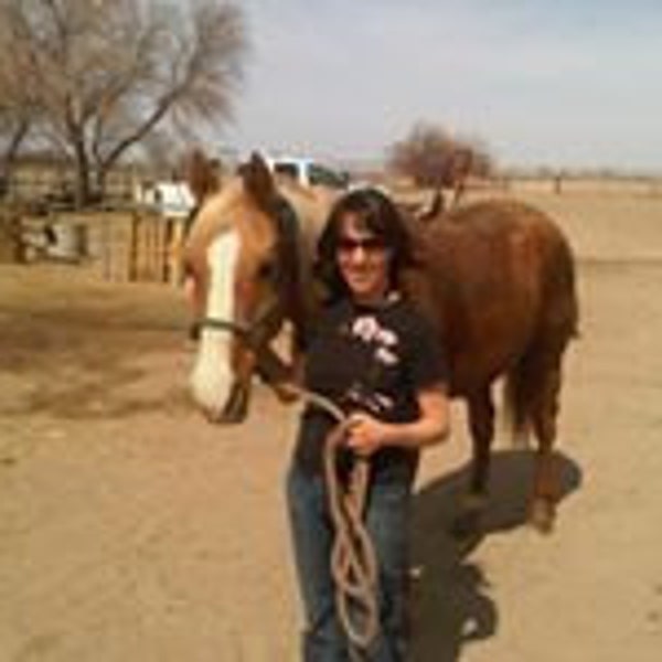 John Wayne Western Landscape Pattern C8572-BLUE by Riley Blake, 100% ...