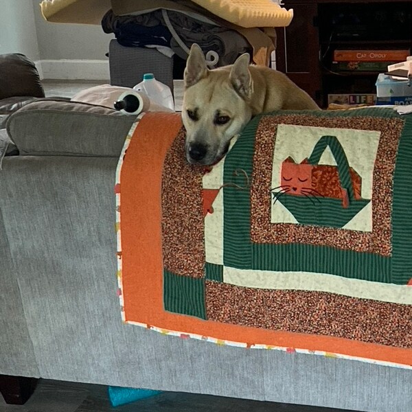 Personalized Dnp Graduation Acrylic Plaque, Custom Doctor of Nursing ...