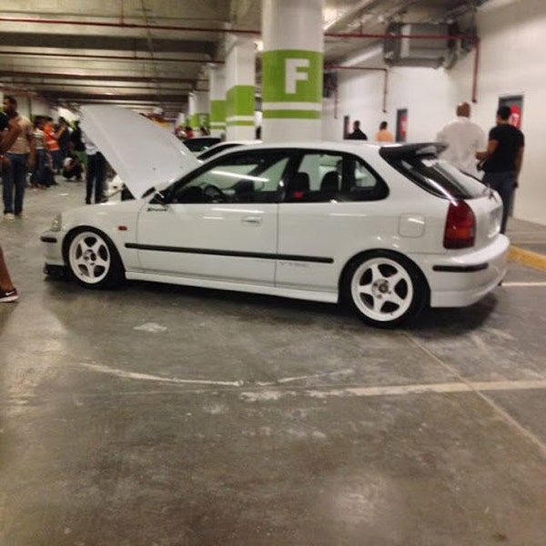 Fox Stream Pet Halloween Animated Fox Mascot Widget for Streamers ...