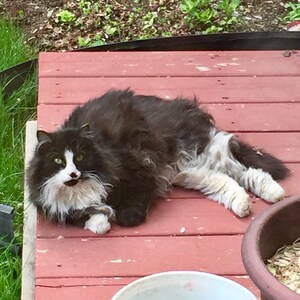 Binary Code Engraved Custom Bracelet. Binary Code Geek Jewelry Gift ...